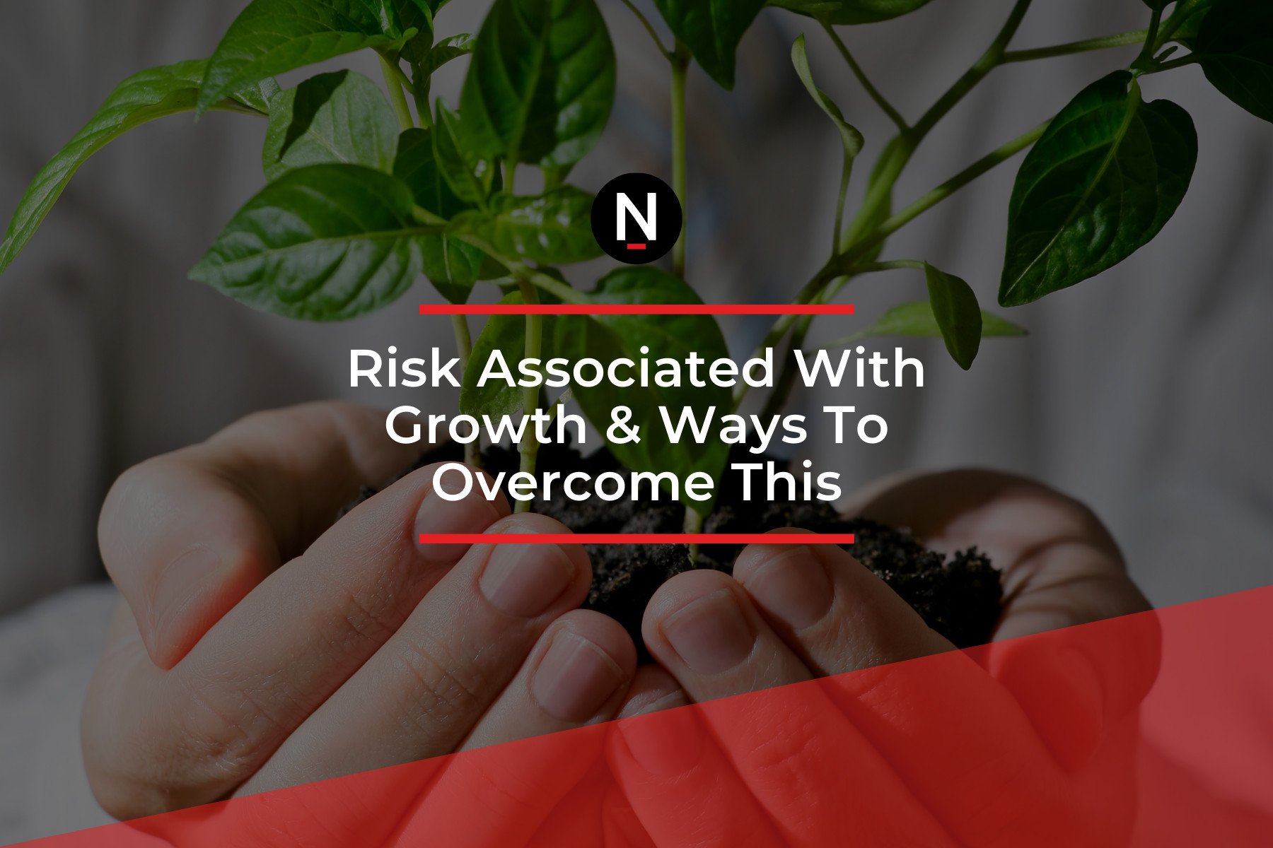 Risk Associated With Growth & Ways To Overcome This - Nordens